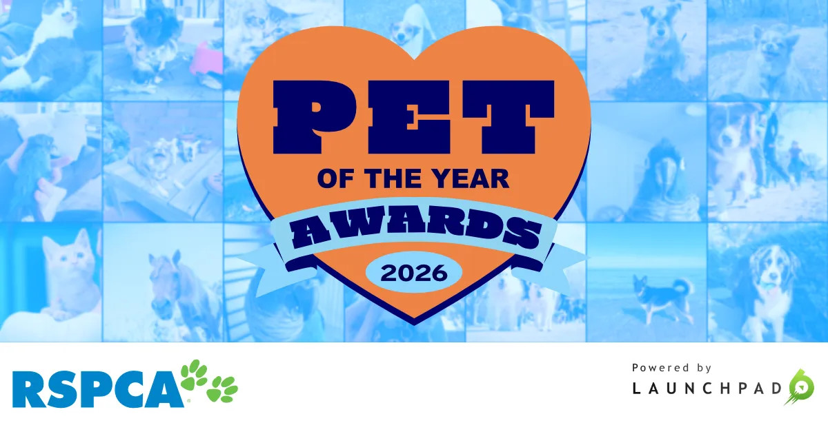Adorable Other | RSPCA Pet of the Year Awards 2026 | Australia's ...